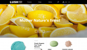 E-commerce Website Design to Build an Engaging On-line Store – DesArt Lab